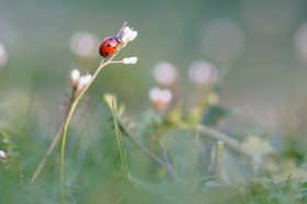 Alexandra Rietz: Das macht der K11-Star heute - PromiPlanet